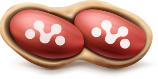 Mothernode – MOTHERNODE